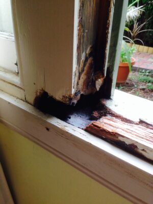 Timber Fly Screens Melbourne | Sash Window Fly Screen | Fly Screens For ...